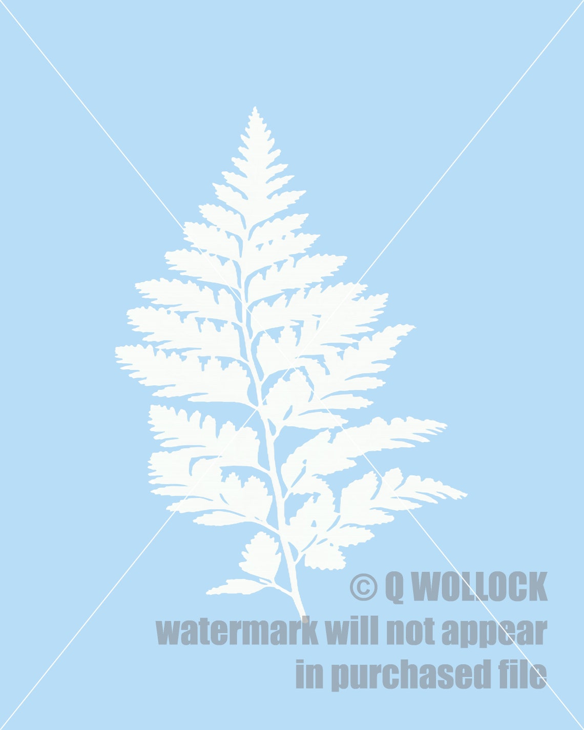 Original Artwork Printable Fern and Poppy Set Nature - Etsy