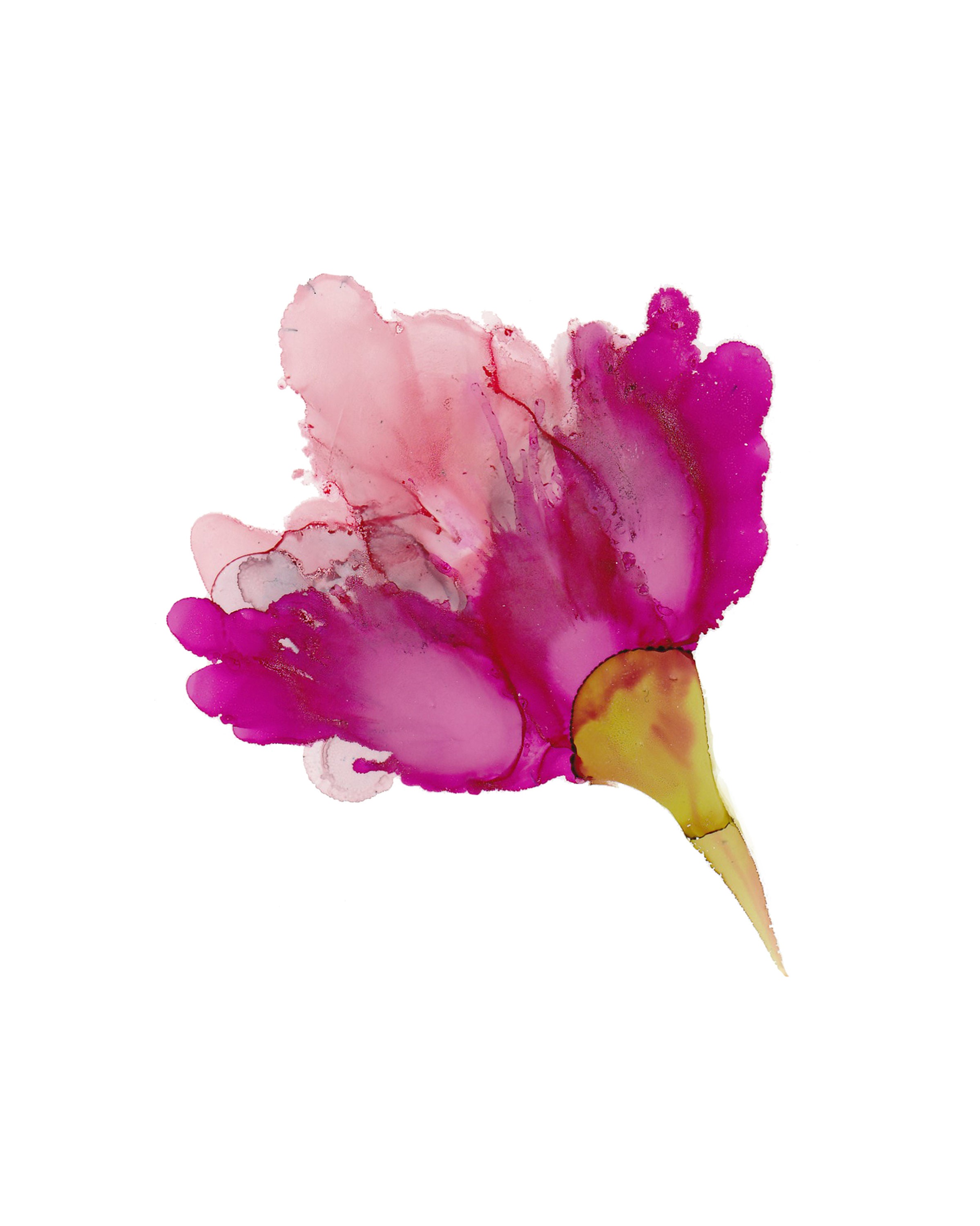 Original Artwork Printable Beautiful Pink Floral Alcohol | Etsy