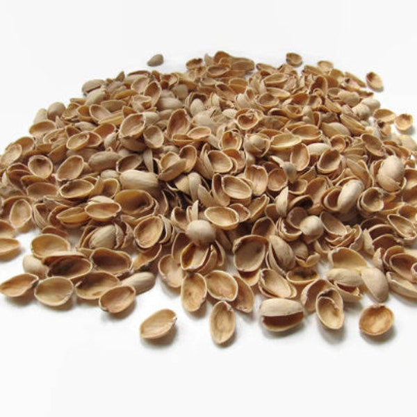 Pistachio Shells Art - Etsy