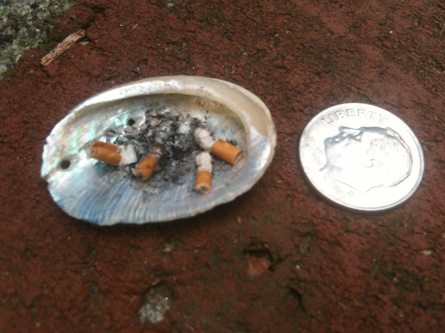 Miniature Abalone Shell Ashtray with Miniature Cigarette Butts | Etsy