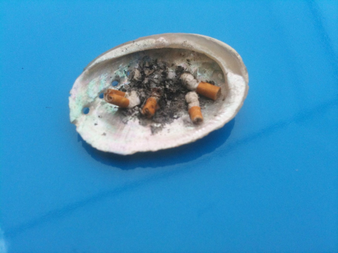 Miniature 1:6 Abalone Shell Ashtray With Miniature Cigarette Butts for ...