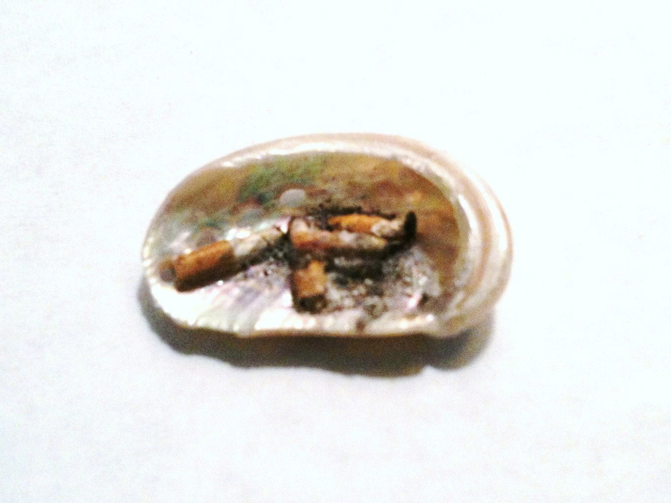 Dollhouse Miniature 1:12 Scale Abalone Ashtray With Miniature - Etsy