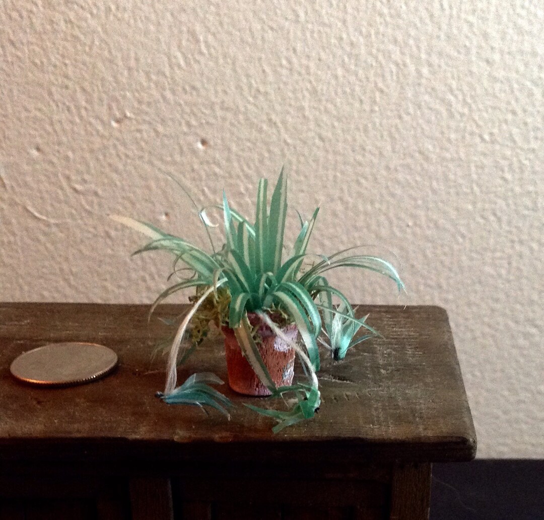 Miniature Spider Plant in Terracotta Painted Wood Pot 1:12 - Etsy