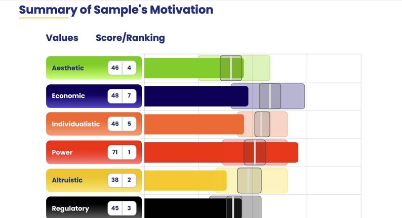 DISC Assessment + 30-min Personalized Debrief Session | Live Zoom/teams ...