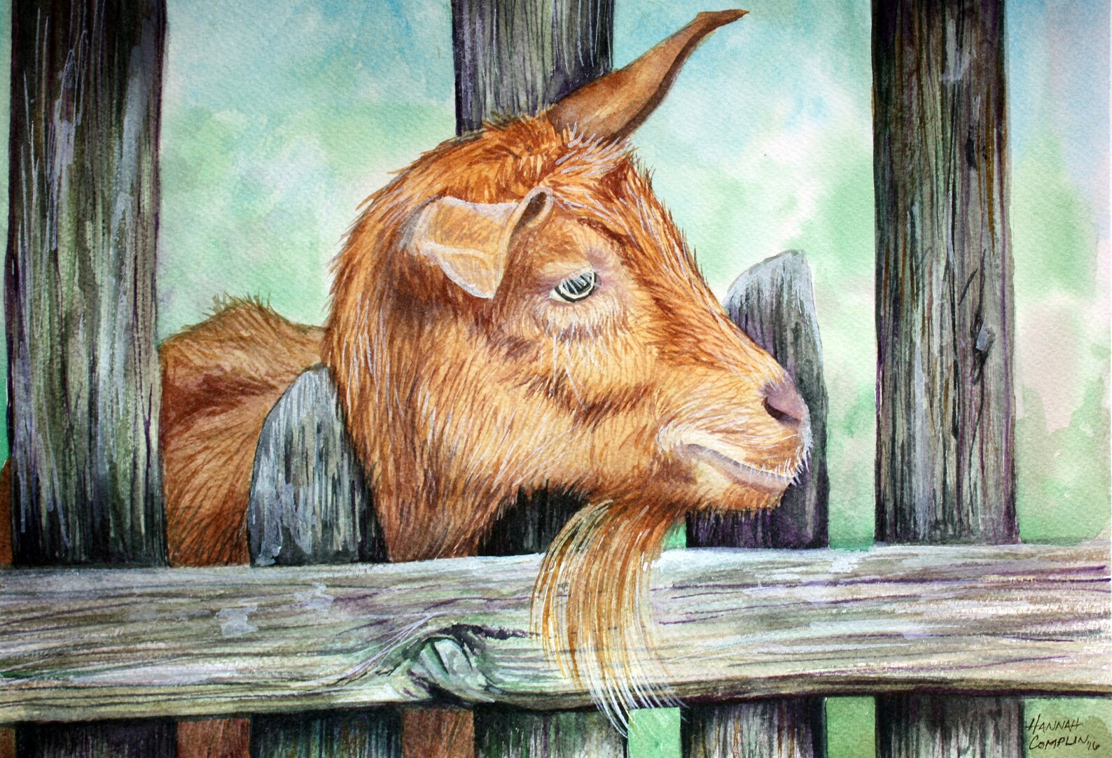 Ginger Goat Watercolor Print, Goat Painting, Goat Wall Art, Goat Home ...