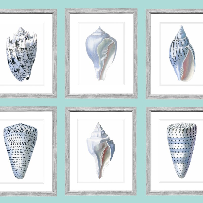 Sea Life Decor - Etsy