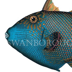 Turquoise Tropical Fish Print Triggerfish Deep Ocean Blue Marine Life ...