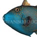 Turquoise Tropical Fish Print Triggerfish Deep Ocean Blue Marine Life ...