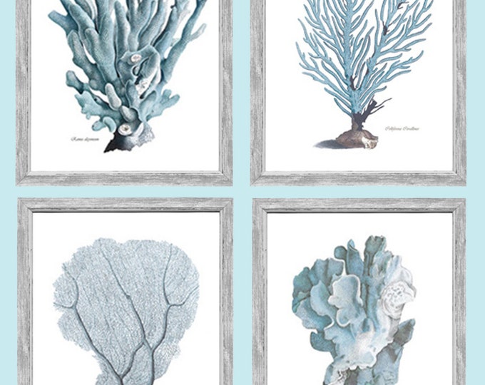 Blue Sea Life Coral Prints. Blue Corals Sea Life Prints Set of - Etsy