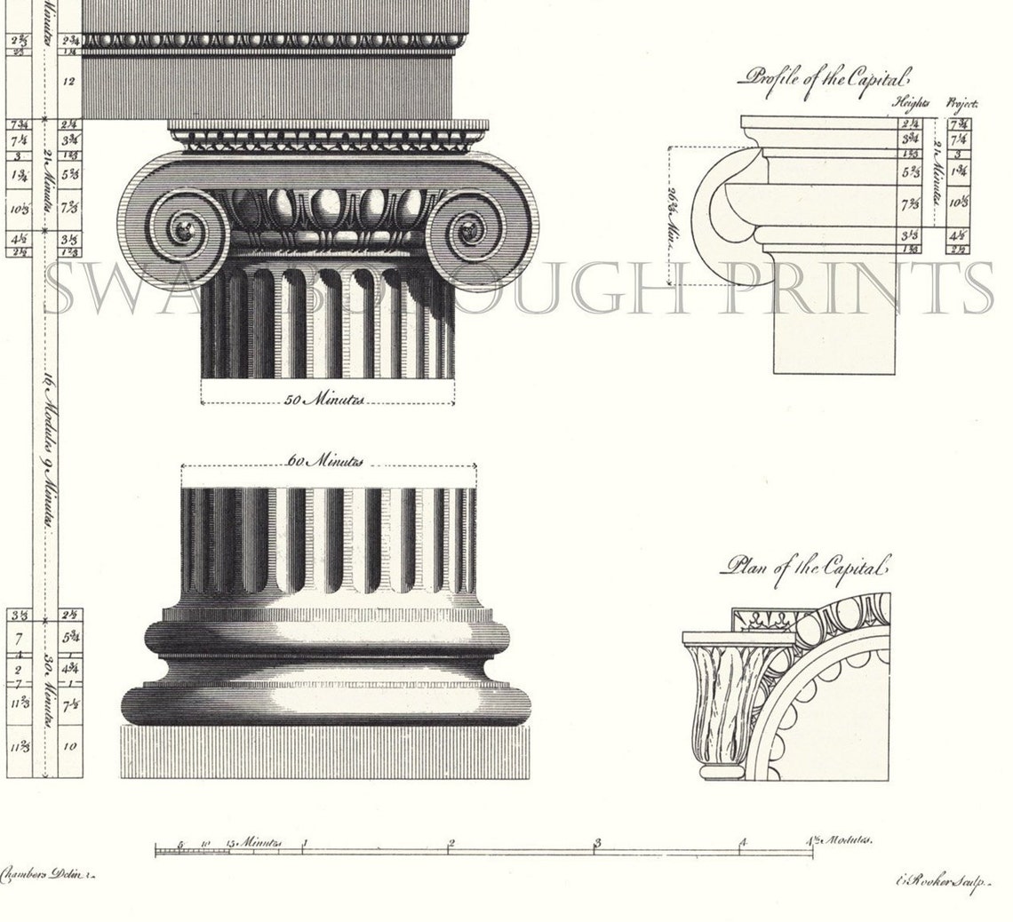Architectural Drawings. Ionic Column Print Wall Art Decor. - Etsy