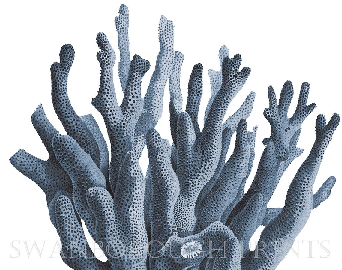 Navy Blue Coral Print on Smooth Watercolour Paper. Beach - Etsy