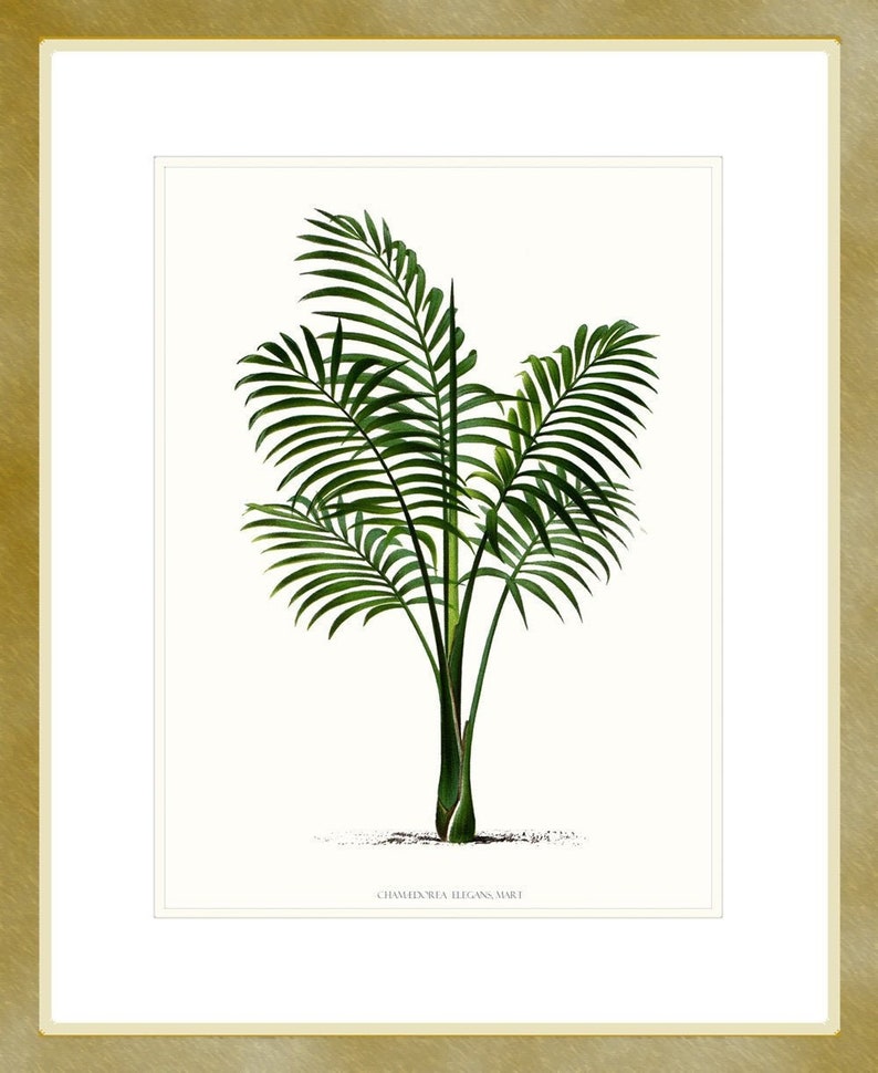Palm Tree Art Print. Tropical Tree Print. Beach House Print. | Etsy