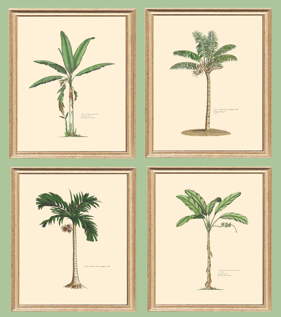 Palm Tree Prints Set of Four Palm Trees Tropical Wall Art Coastal ...