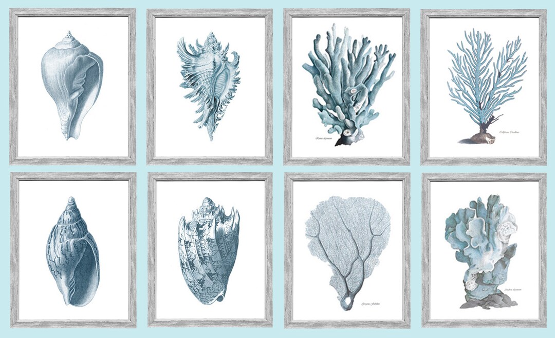 8 Blue Corals and Shell Prints. Sea Life Prints Blue Coral Shells ...