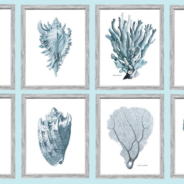 Coral and Blue - Etsy