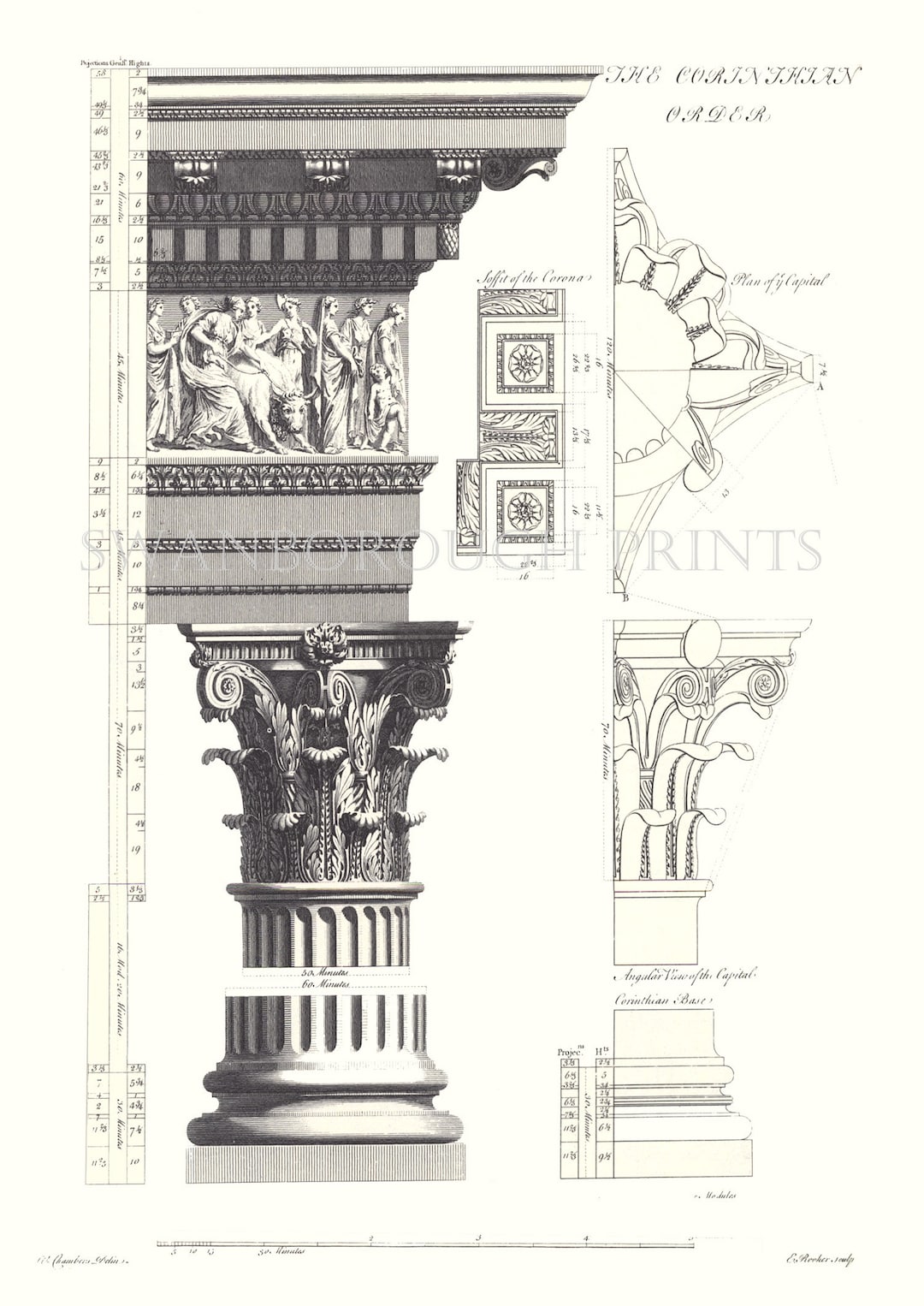 Classic Architectural Print. Corinthian Design Wall Decor. Corinthian ...