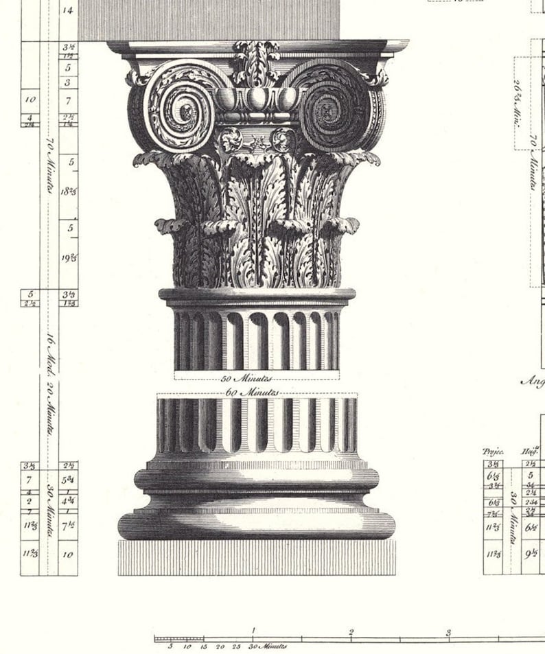 Roman Column Print: Architectural Drawing, Classic Decor - Etsy