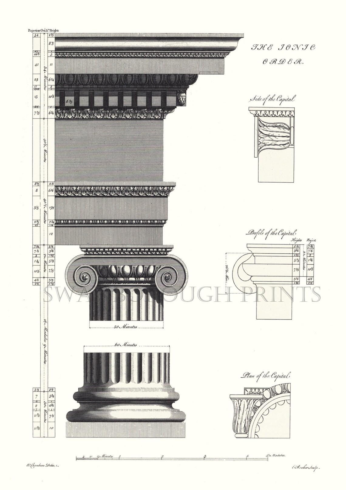 Architectural Drawings. Ionic Column Print Wall Art Decor. - Etsy