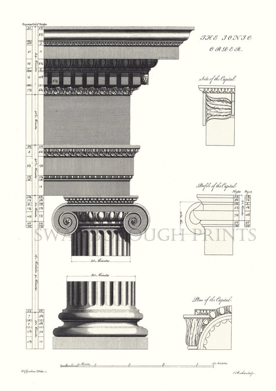 Ionic Column Sketch