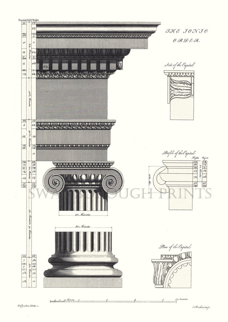 Architectural Drawings. Ionic Column Print Wall Art Decor. Classic Wall ...