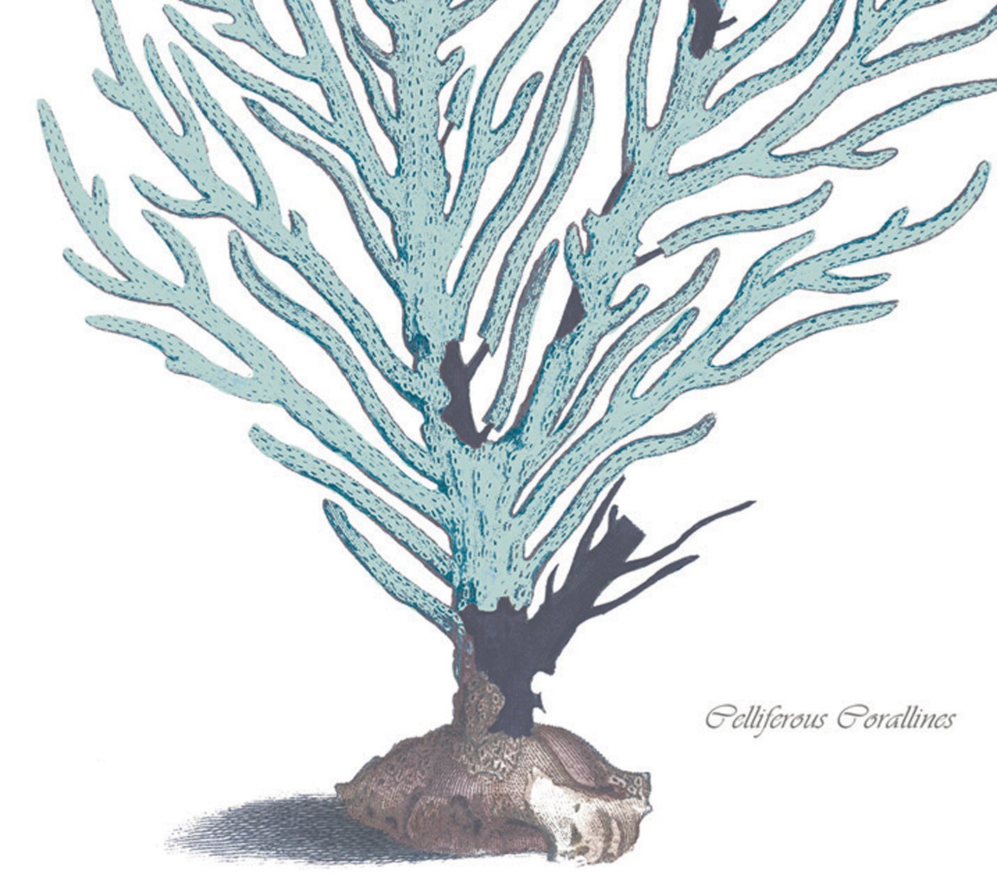 Blue Coral Wall Art, Sea Foam Beach House Bathroom Decor, Coastal Print ...