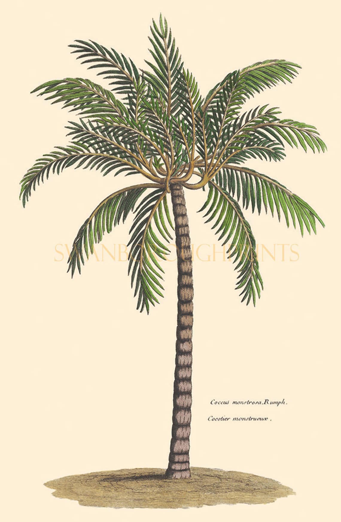 Palm Tree Print Coastal Home Decor Giclée Printed Onto Smooth ...