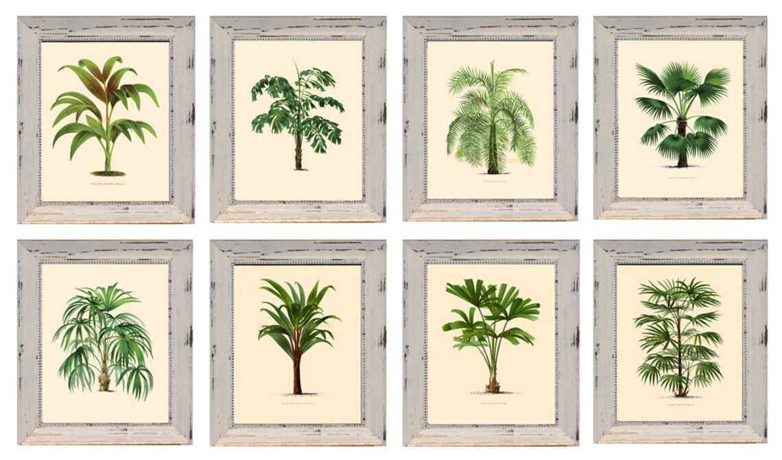 Tropical Coconut Palm Tree Art Print. Palm Tree Wall Decor | Etsy