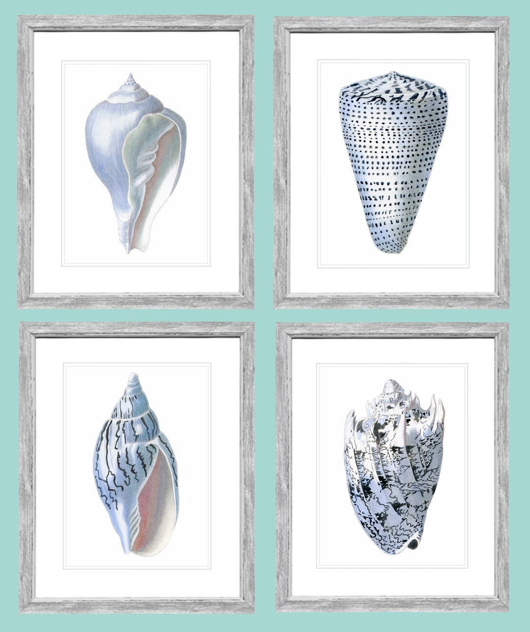 Blue Sea Shells Prints. Set of 4 Blue Sea Shells Beach Bathroom ...