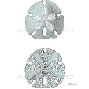 Sand Dollar Shell Print Sea Foam Colour Beach Bathroom Decor Coral Reef ...