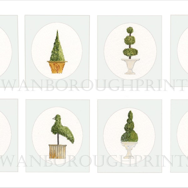 Miniature Topiary - Etsy