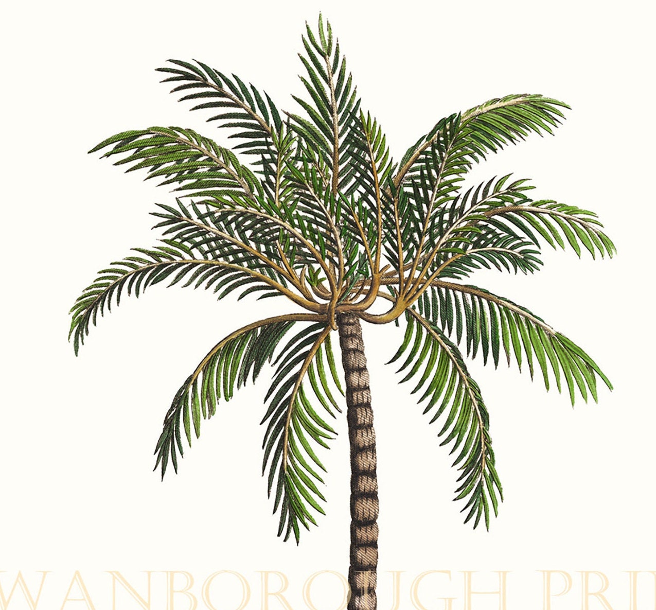 Palm Tree Art Print. Palm Tree Painting Print. Beach Wall Decor on ...