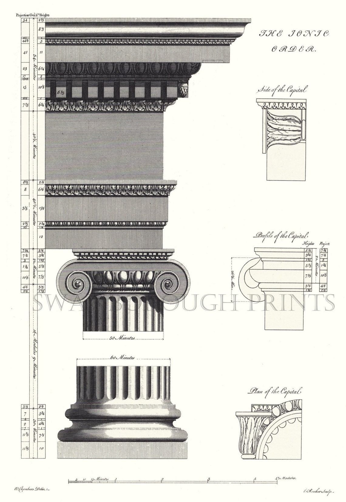 Architectural Drawings. Ionic Column Print Wall Art Decor. - Etsy