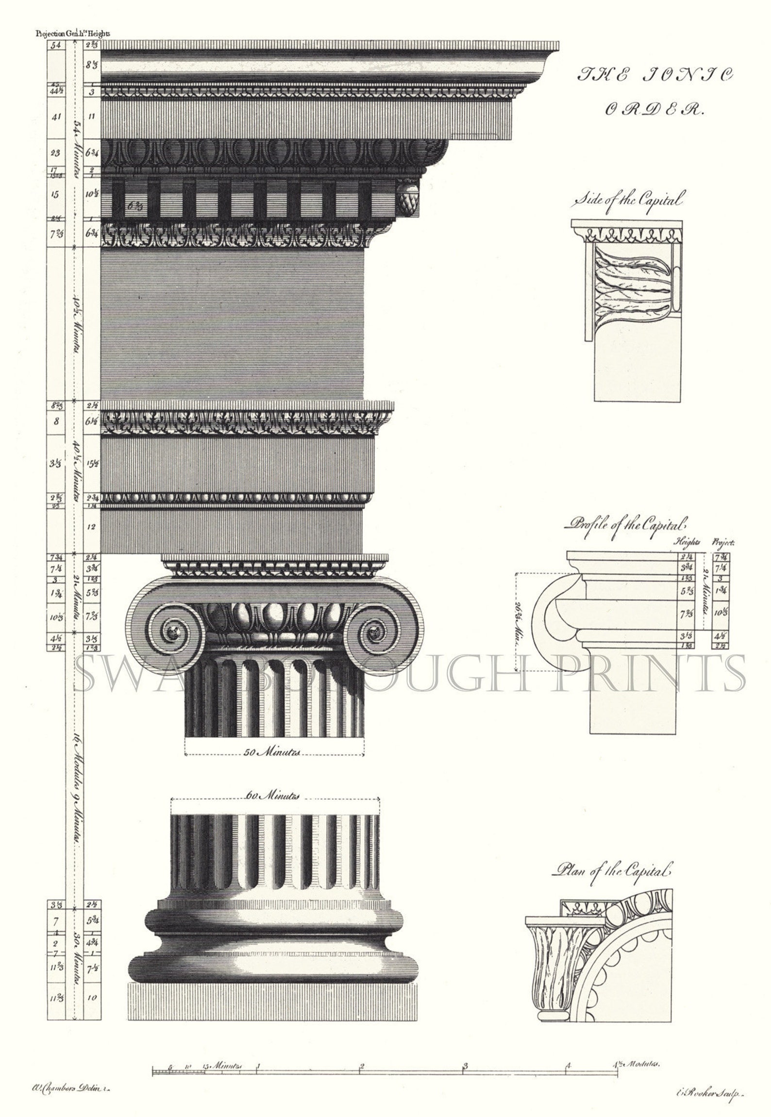 Architectural Drawings. Ionic Column Print Wall Art Decor. - Etsy