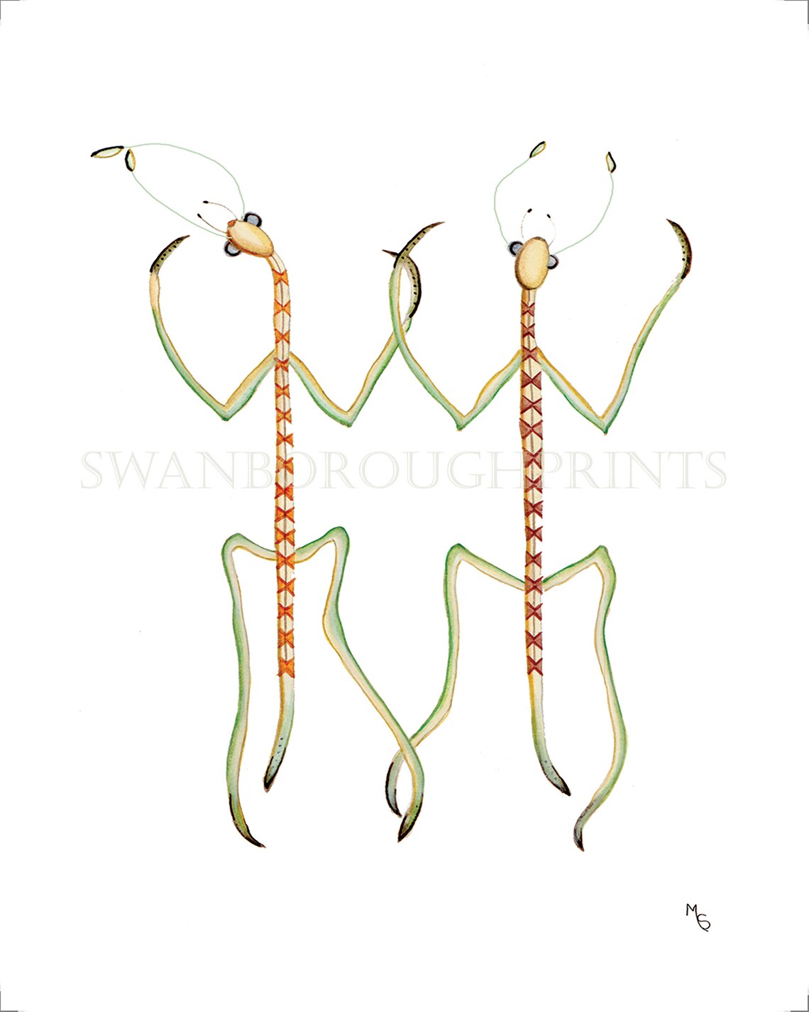 Stick Insect Entomology Print Stick Insect Art Print - Etsy UK