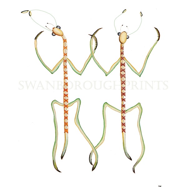 Stick Insect - Etsy