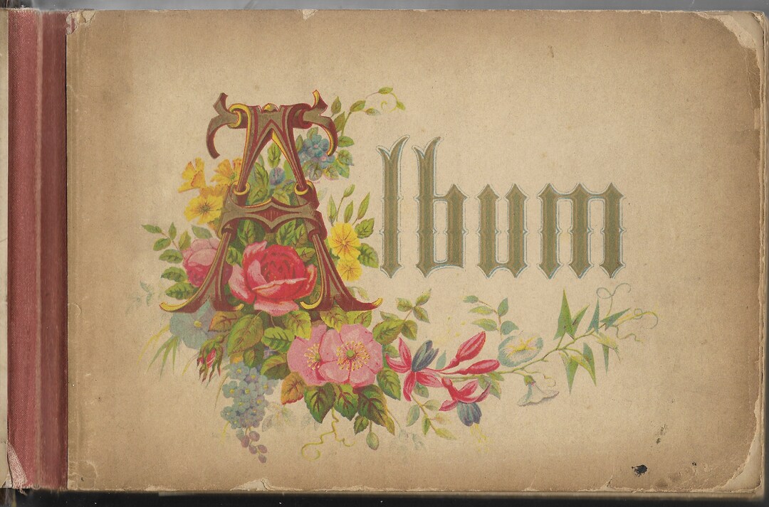 Vintage CDV Album From a Blackburn Family and a Collection of 26 Cartes ...