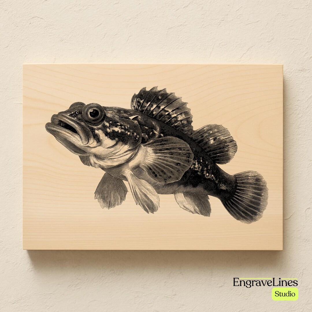 Laser Engraving File Bass Fish SVG PNG JPG | Glowforge Xtool Lightburn ...