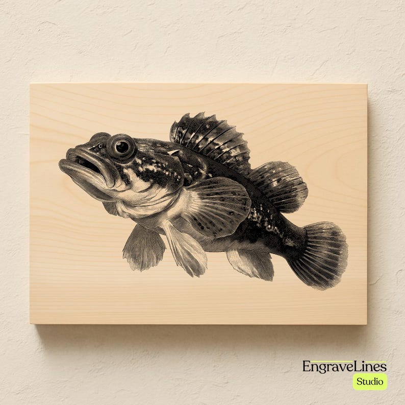Laser Engraving File Bass Fish SVG PNG JPG | Glowforge Xtool Lightburn ...