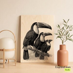 Vintage Toucan Family Engraving | Laser Cut File (SVG PNG JPG) - Etsy