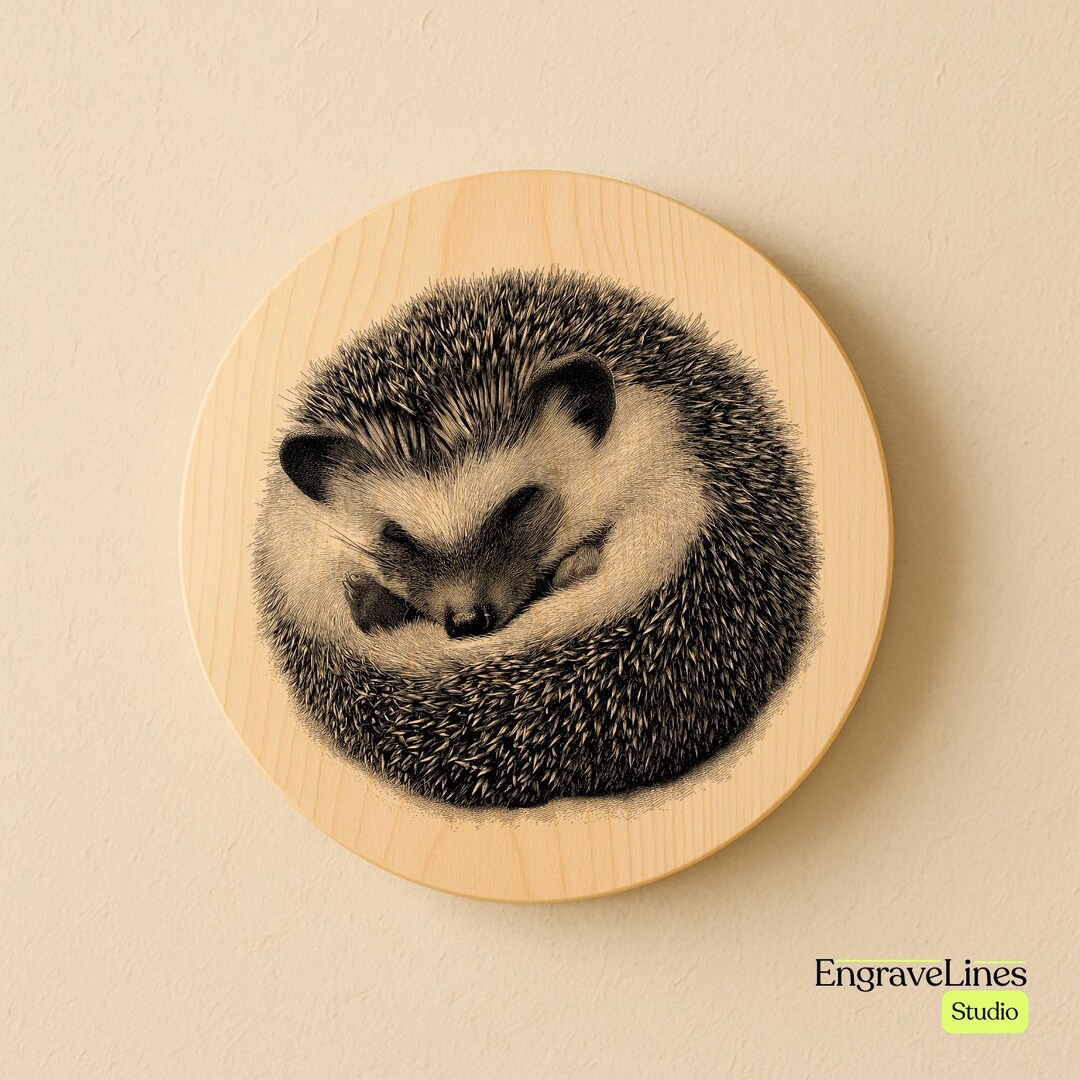 Sleeping Hedgehog Laser Engraving File | Animal Line Art (SVG PNG JPG ...