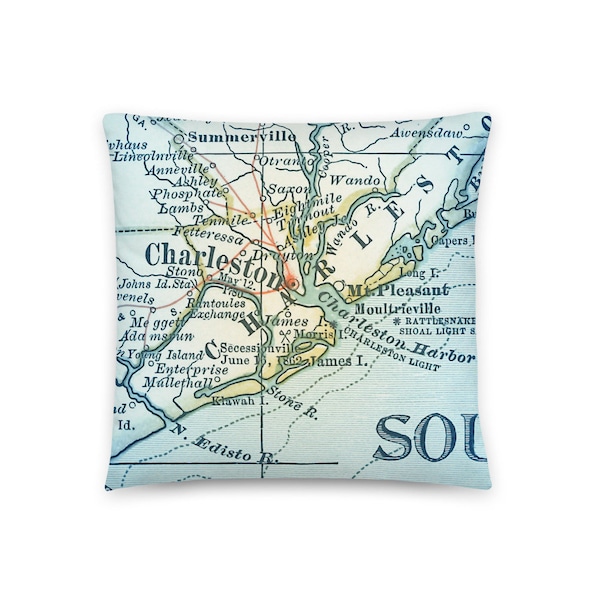 South Carolina Pillow - Etsy