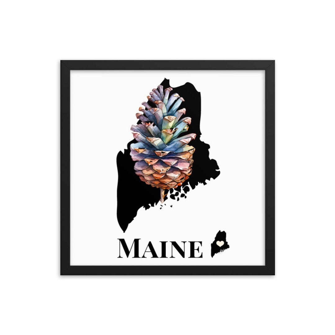 Maine Art Print With State Flower, White Pinecones, Framed Print, ME ...