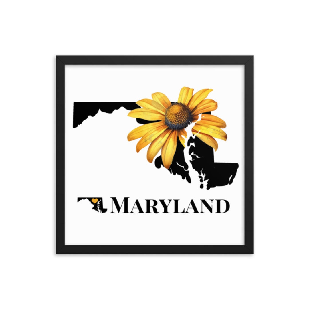 Maryland Art Print With State Flower, Black Eyed Susan, Framed Print ...