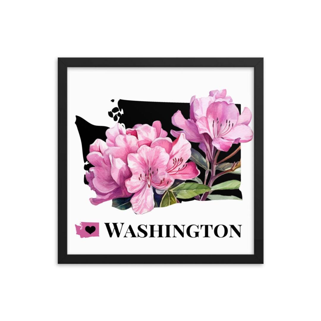 State of Washington Art Print With State Flower, Rhododendrons, Framed ...