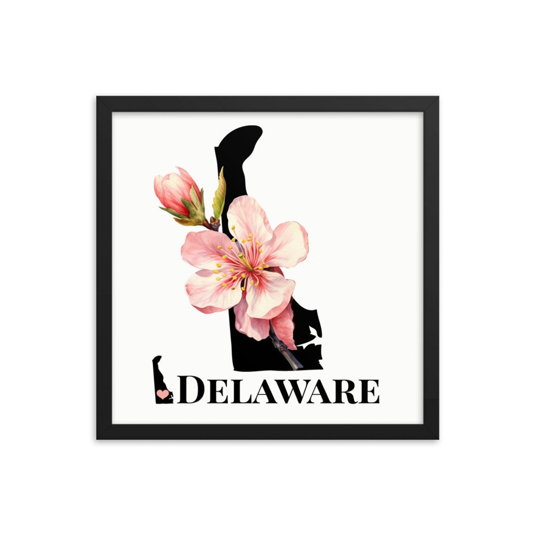 Delaware Art Print With State Flower, Peach Blossoms, Framed Print, DE ...
