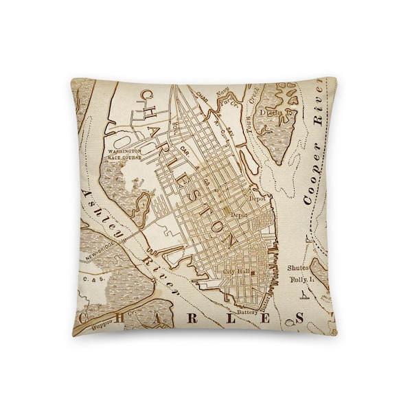 South Carolina Pillow - Etsy