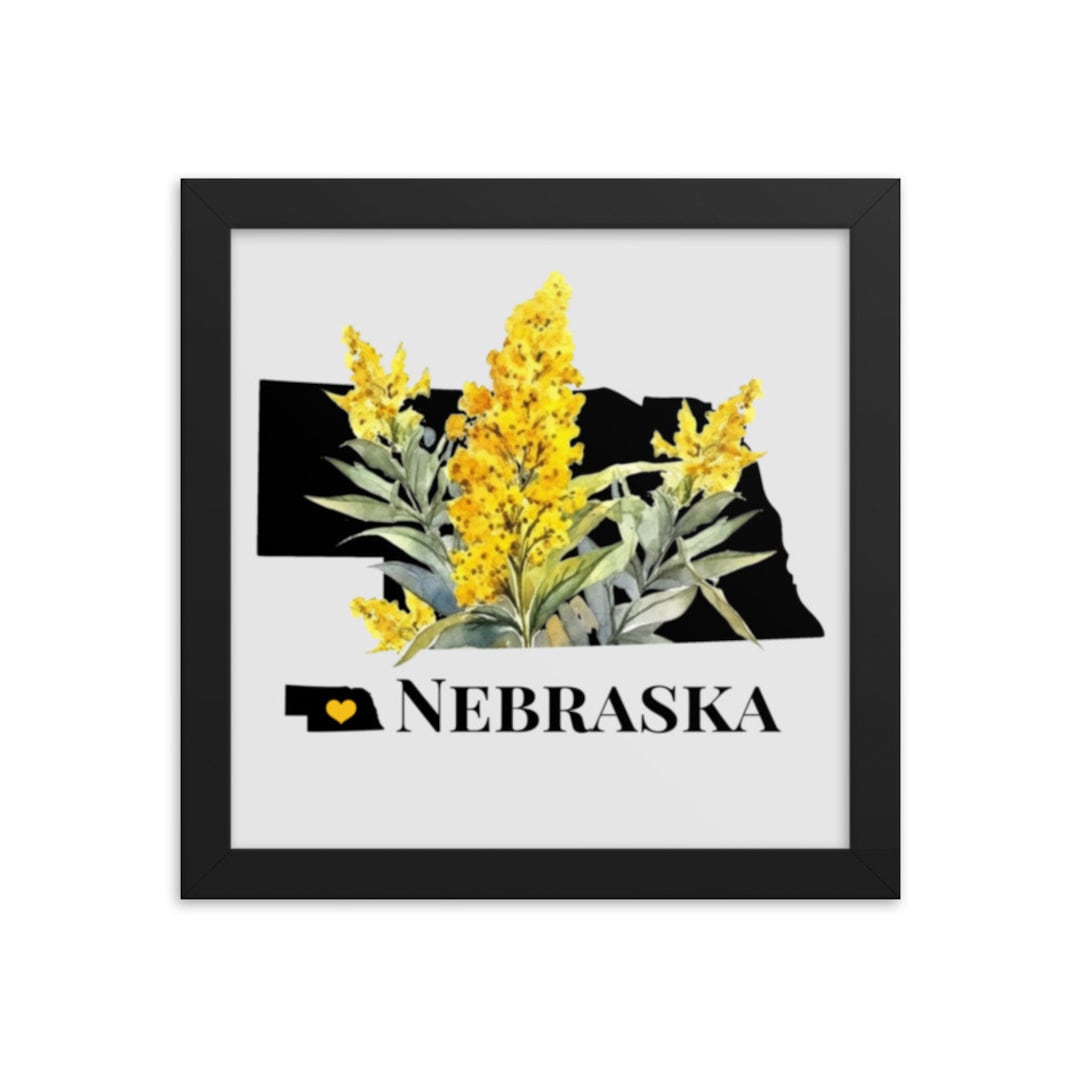Nebraska Art Print With State Flower, Goldenrod, Framed Print, NB Map ...