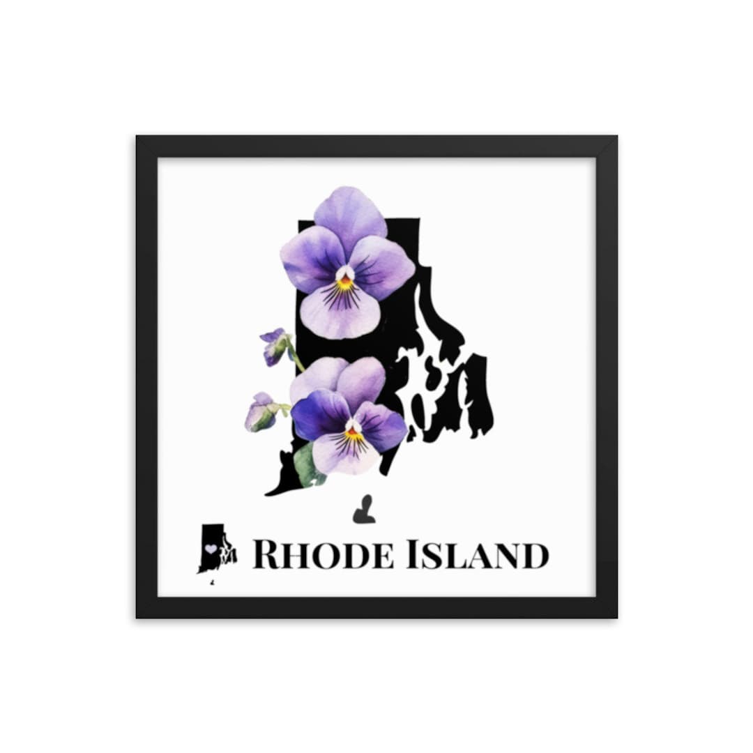 Rhode Island Art Print With State Flower, Purple Violets, Framed Print ...