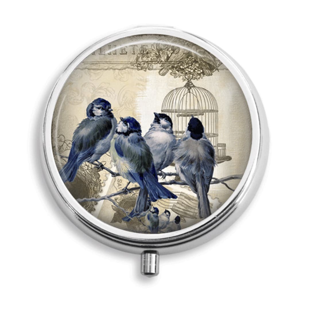 Pill Box Pill Case Bluebirds Blue Bird Party Pill Holder Pill Container ...