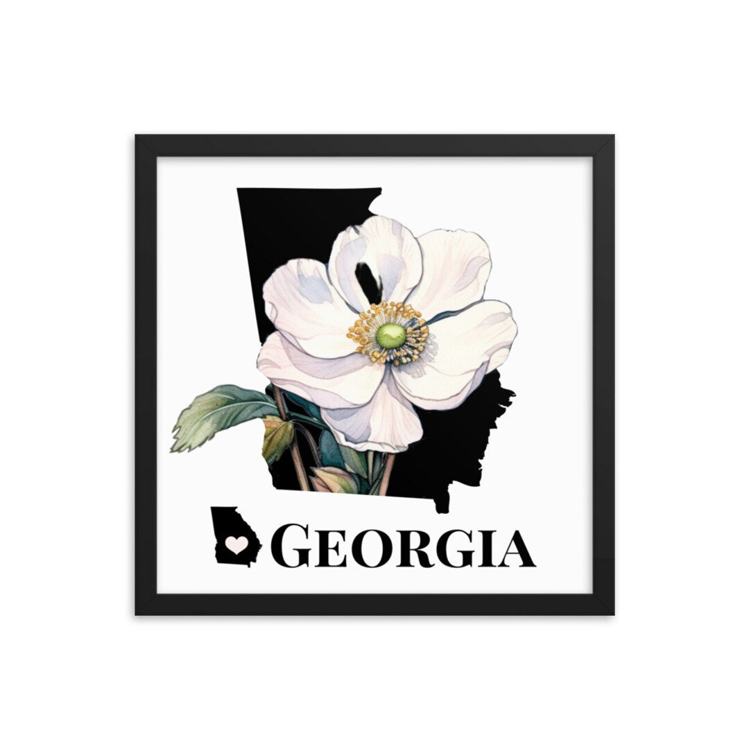 State of Georgia Art Print With State Flower, Cherokee Rose, Framed ...